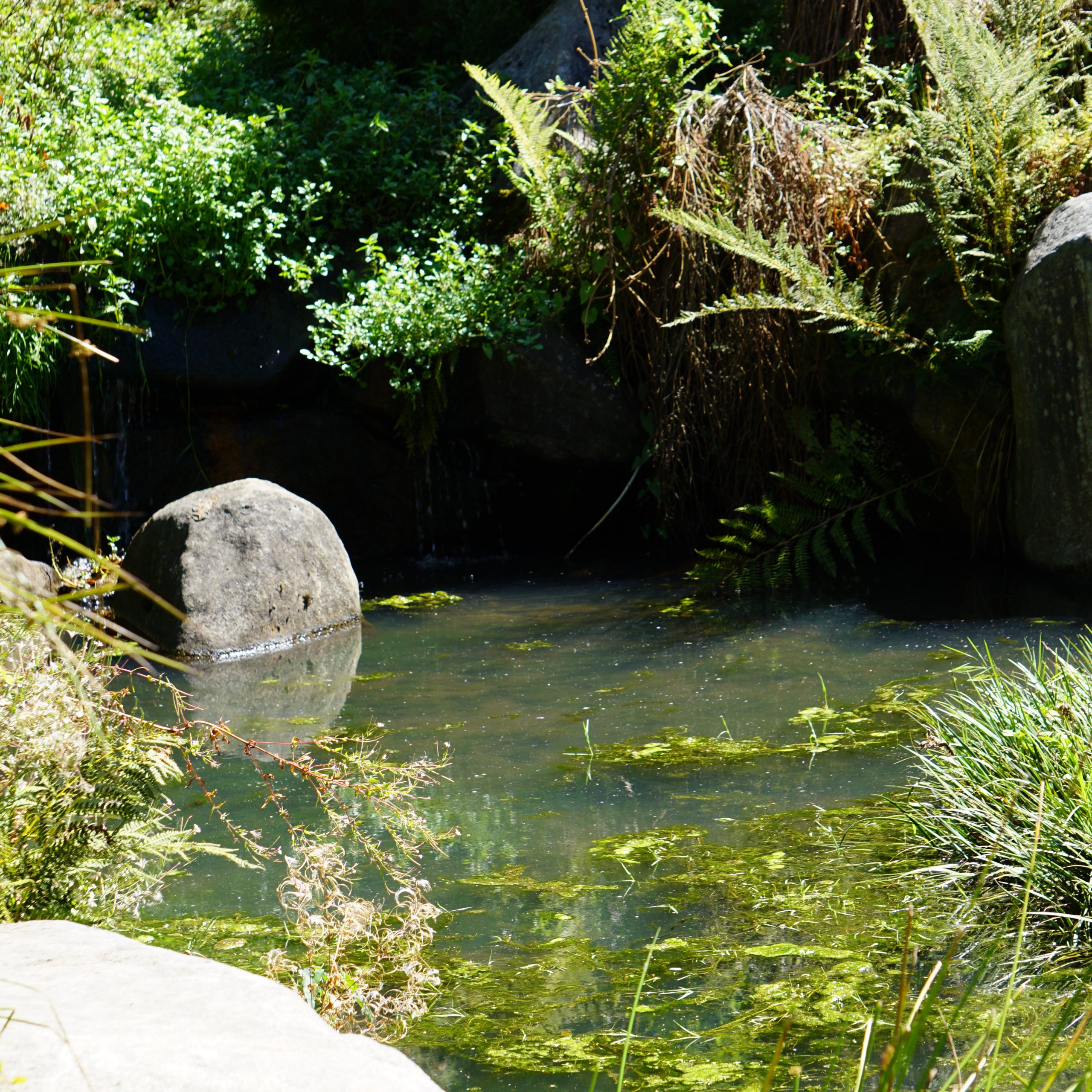 Seattle's Forgotten Garden - Soul Healing Adventures